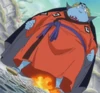 Jinbe | One Piece Wiki | Fandom