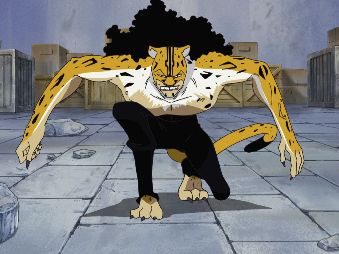 Neko Neko no Mi, Modelo: Leopardo | One Piece Wiki | FANDOM powered by ...