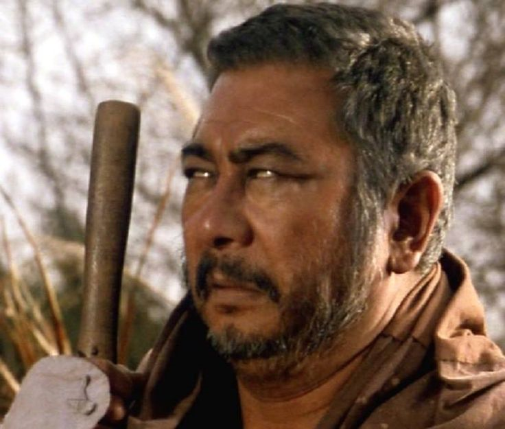 Immagine - Shintaro Katsu.png | One Piece Wiki Italia | FANDOM powered ...