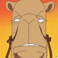 Super Spot-Billed Duck Troops | One Piece Wiki | Fandom