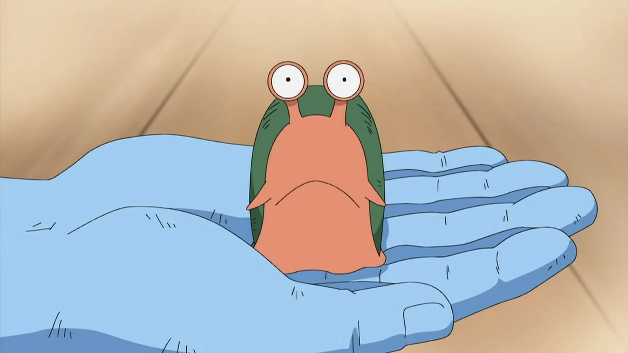 Den Den Mushi | One Piece Wiki | FANDOM powered by Wikia