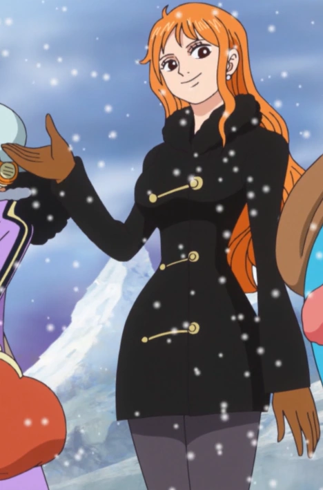 Image - Nami's Outfit at Punk Hazard Party.png | One Piece Wiki ...