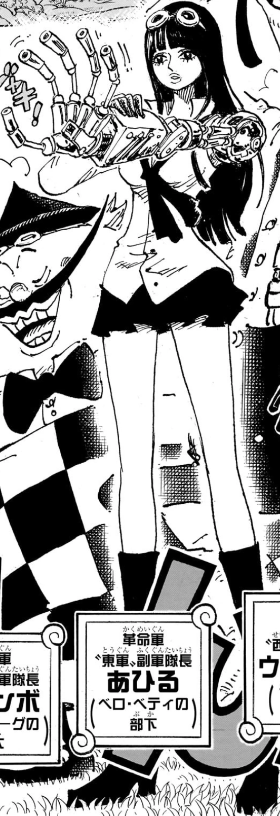 Ahiru | One Piece Wiki | Fandom