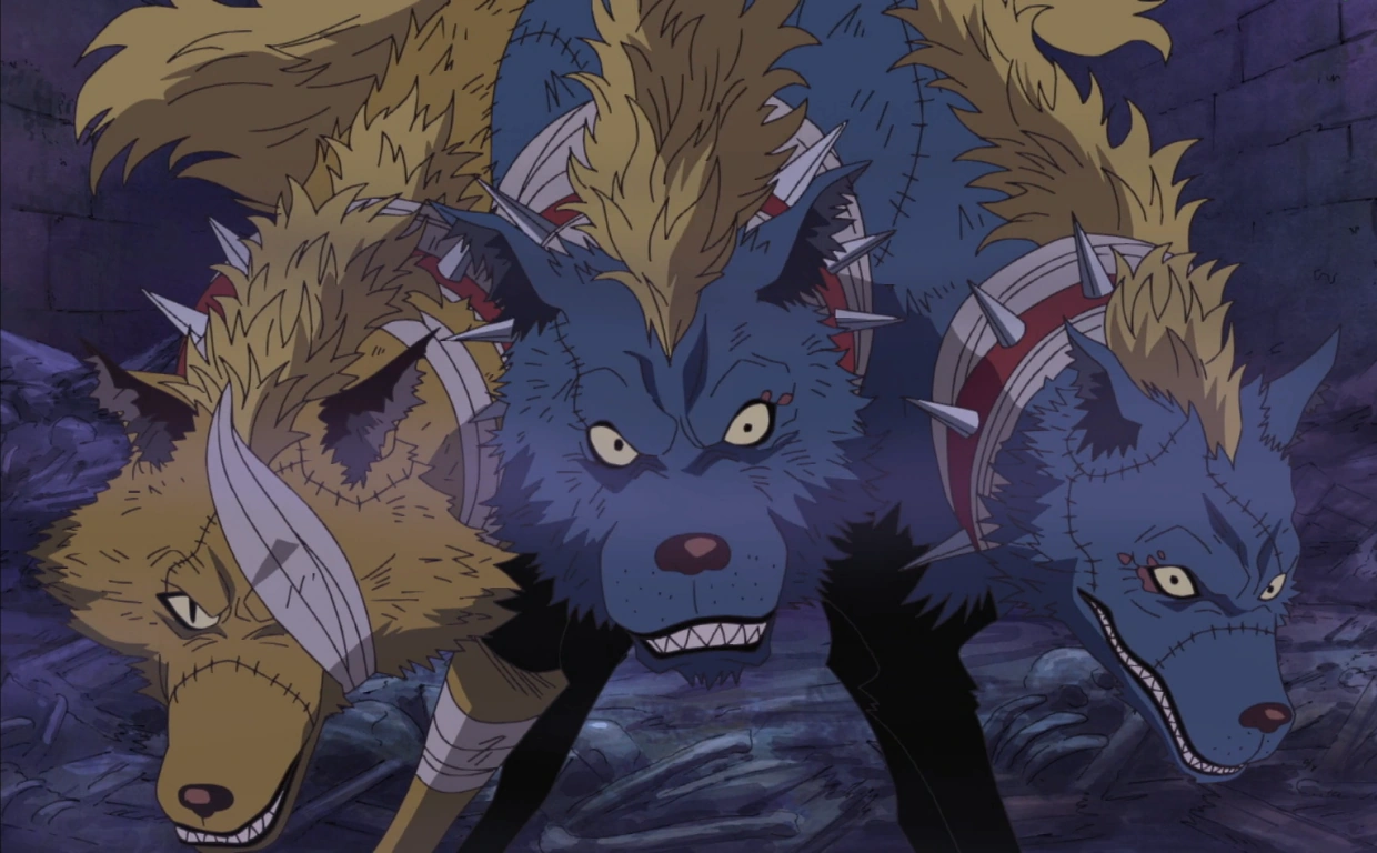 Cerberus | One Piece Wiki | Fandom
