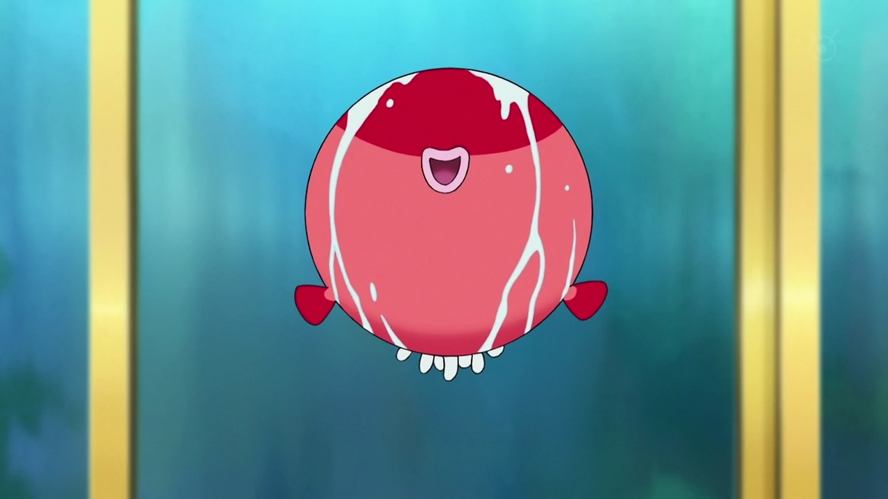 Akami | One Piece Encyclopédie | Fandom