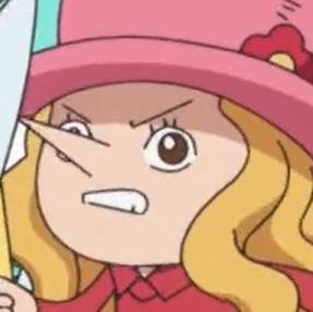 Piratas Tontatta | One Piece Wiki | Fandom