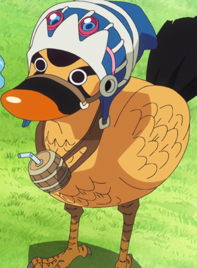 Carue | One Piece Wiki | FANDOM powered by Wikia