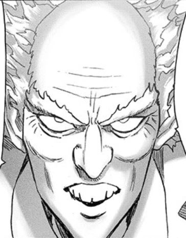 Bofoi | One Punch-Man Wiki | Fandom