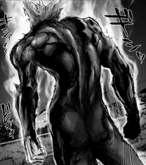Garou | Wiki Onepunch-man | FANDOM powered by Wikia