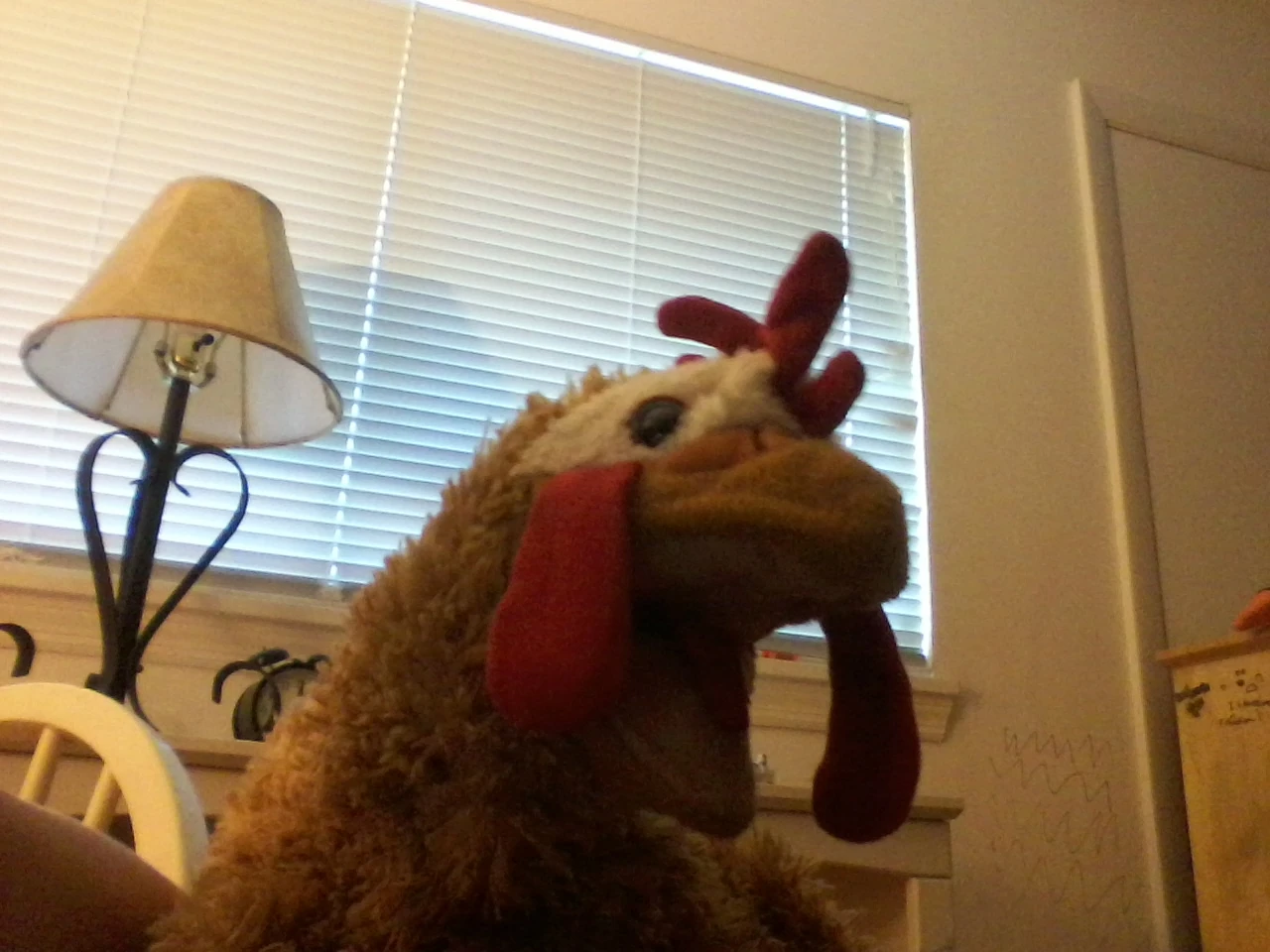 Harold the chicken | Oobi and uma Wikia | Fandom