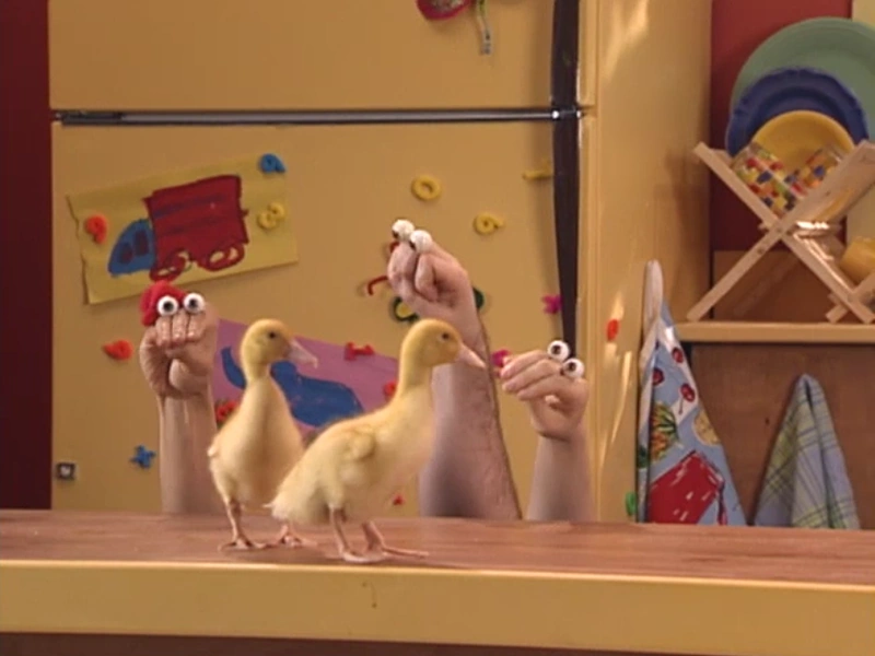Ducklings | Oobi Wiki | Fandom