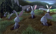 Rabbits | Open Season Wiki | FANDOM powered by Wikia