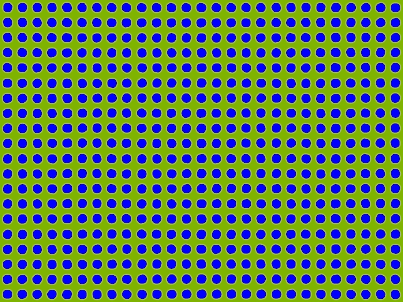 Motion Illusion | Optical Illusions Wiki | Fandom