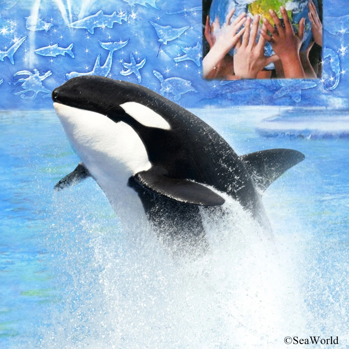 Taima | Orca tank Wiki | Fandom