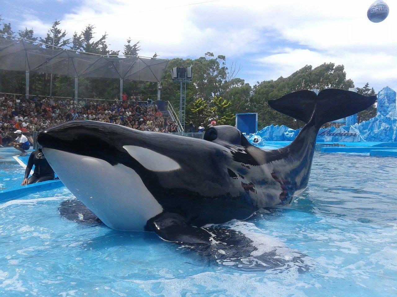 Kshamenk | Orca tank Wiki | Fandom