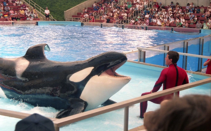 Kotar | Orca tank Wiki | Fandom