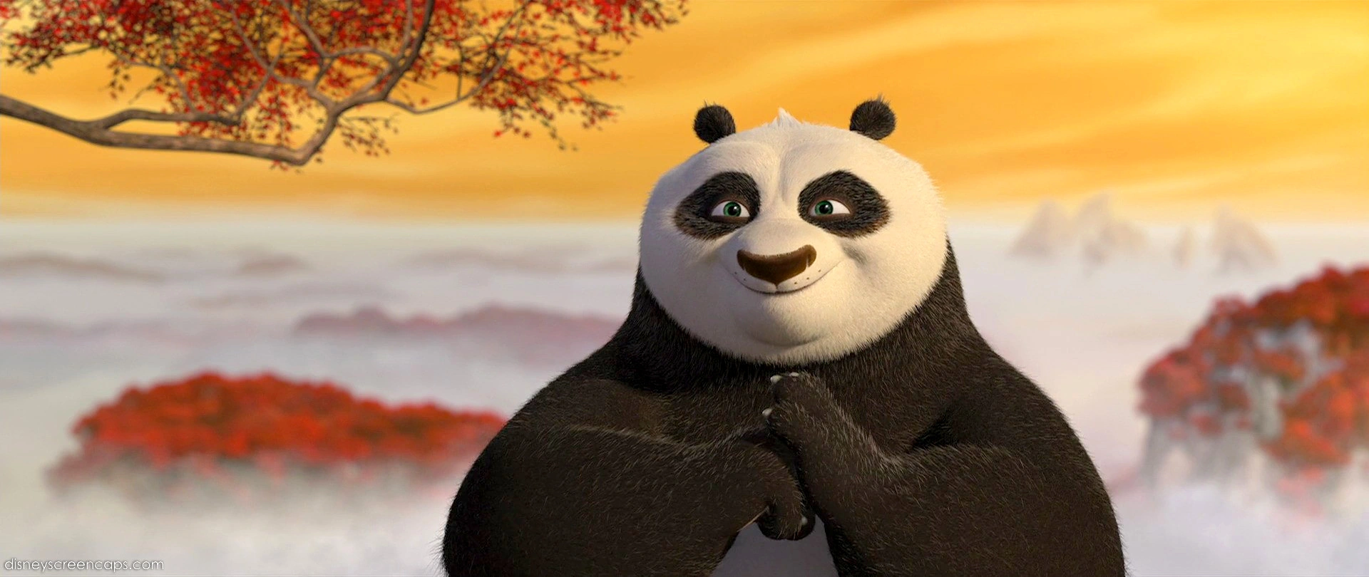 Osos Panda de Películas | Wikia Osos Panda | Fandom
