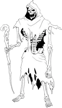 Skeleton Mage | Overlord Wiki | Fandom