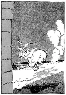 Bilbil | Oz Wiki | Fandom