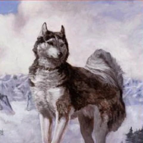 White Fang (Jack London) | Heroes Wiki | Fandom