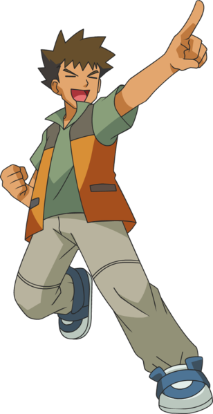 Brock Pokémon Heroes Wiki Fandom