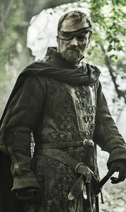 Beric Dondarrion | Heroes Wiki | Fandom
