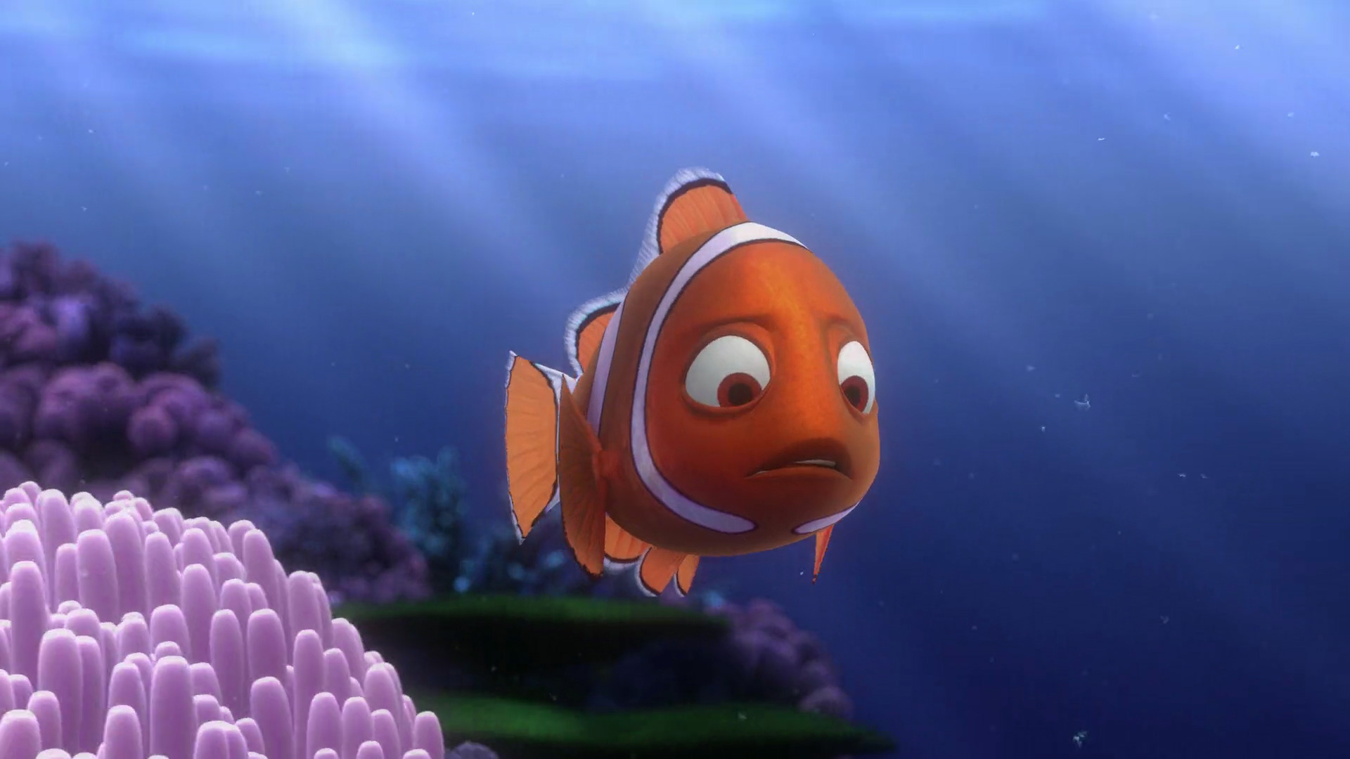 Image - Finding-nemo-disneyscreencaps com-268.jpg | Heroes Wiki ... Image - Finding-nemo-disneyscreencaps com-268.jpg | Heroes Wiki ...
