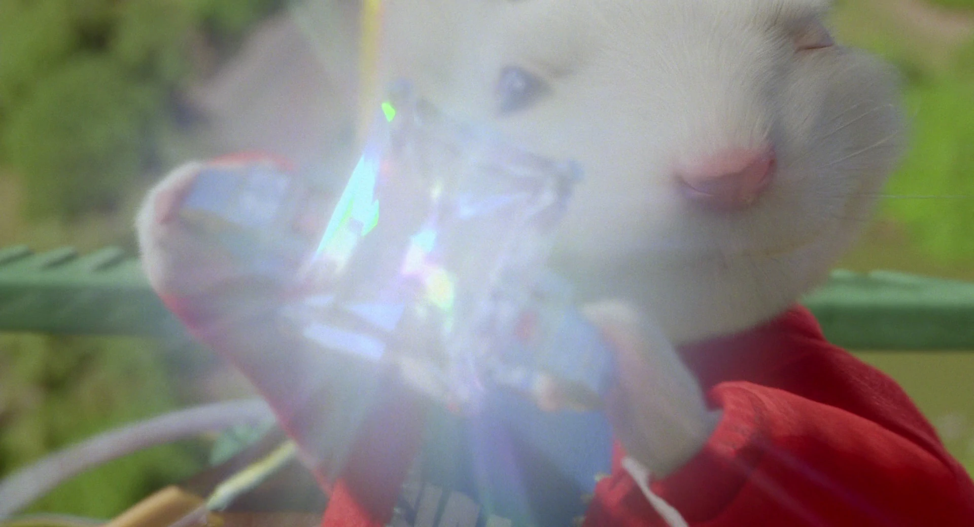 Image - Stuart Little using his mom's ring to blind Falcon and crash ...