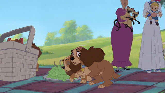 Image Lady Tramp 2 5459 Heroes Wiki Fandom Powered By Wikia