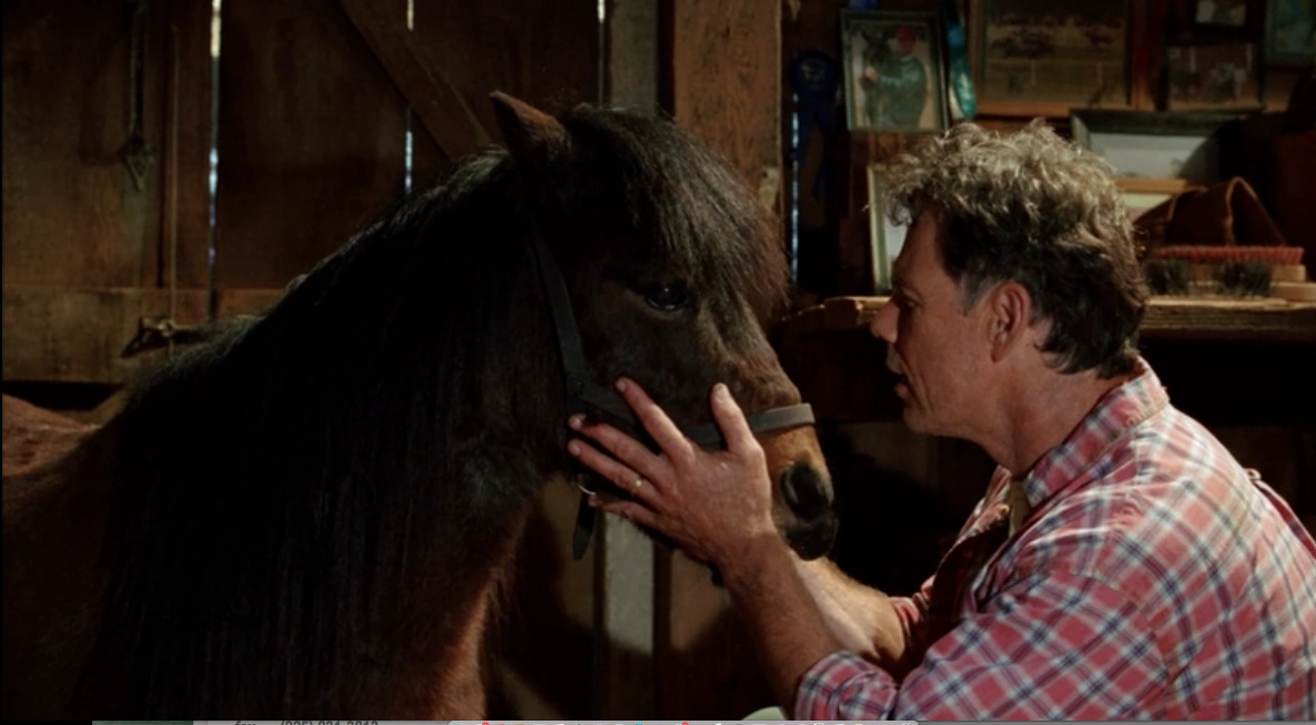 Tucker (Racing Stripes) | Heroes Wiki | FANDOM powered by Wikia