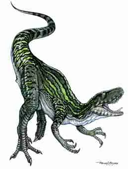 Staurikosaurus | Paleontology Wiki | Fandom