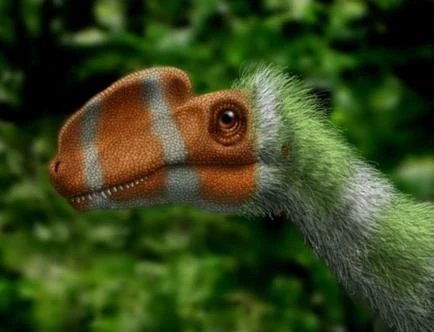 Kileskus | PaleoZoo Wikia | Fandom