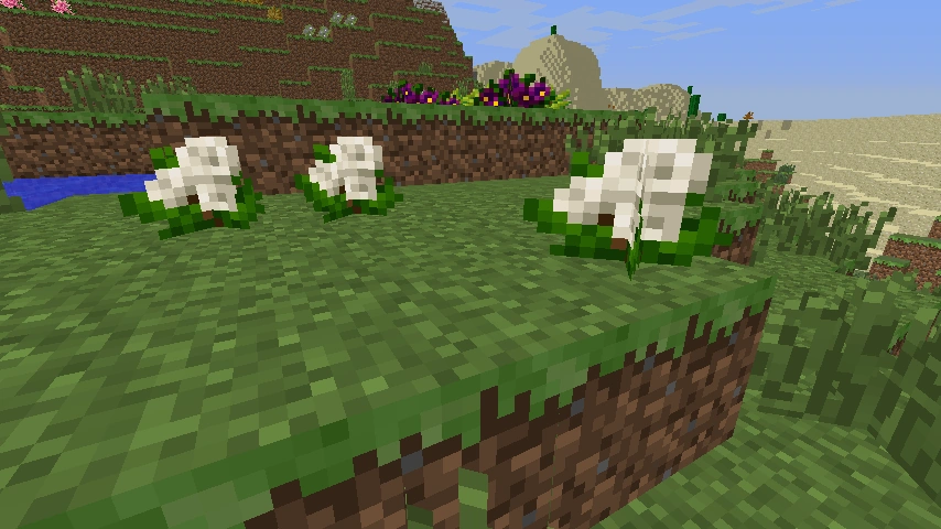 White Roses | Pam's Minecraft Mods Wiki | Fandom