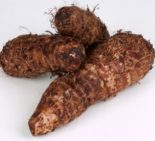 Otoe | Panamanian Recipes Wiki | FANDOM powered by Wikia