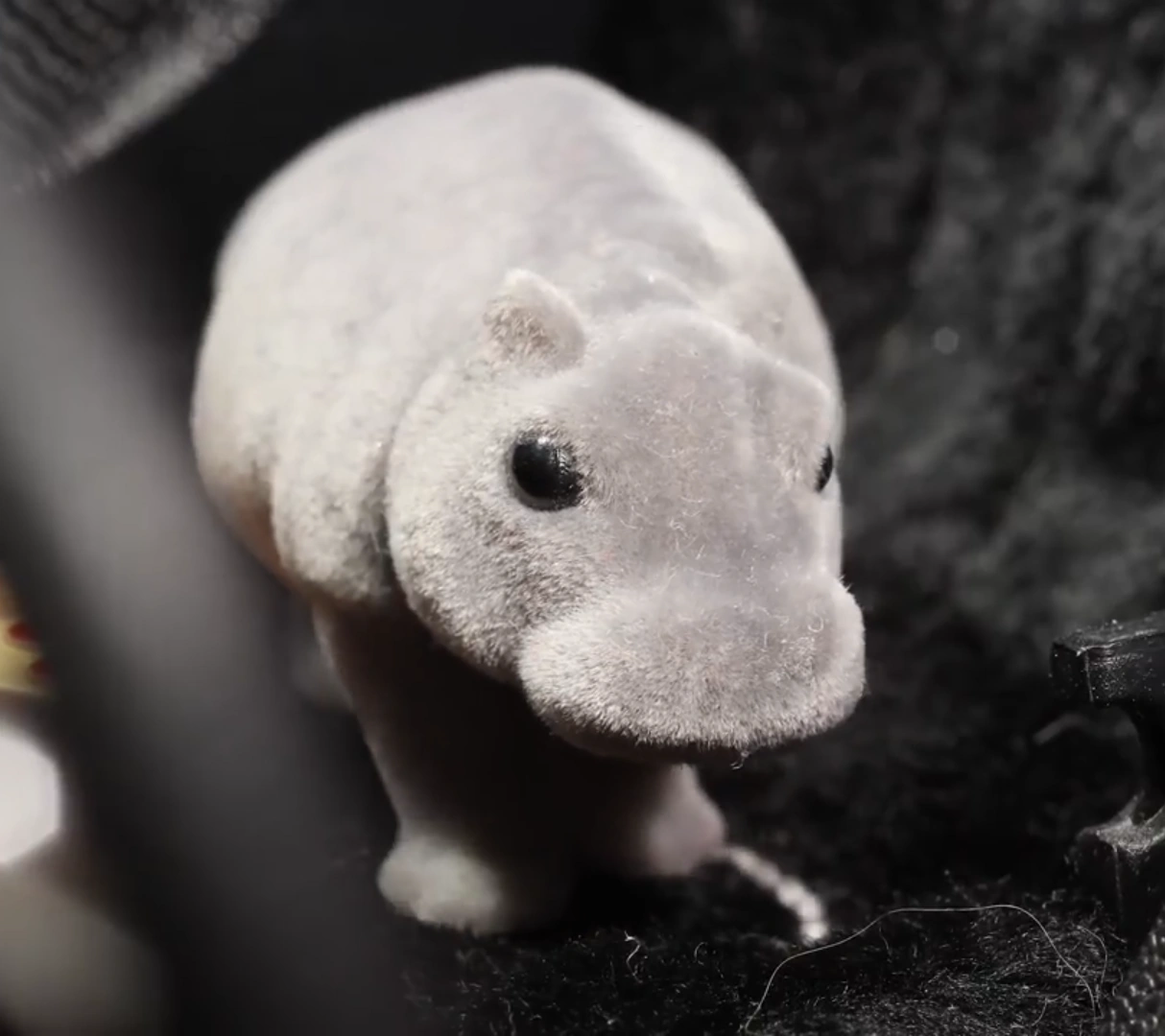 Hippo | Pantsahat Wiki | Fandom