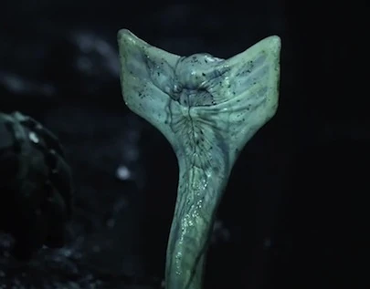 Image - Prometheus-alien-snake.jpg | Paradise Wiki | FANDOM powered by ...