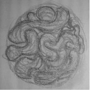 Entity | Worm Wiki | Fandom