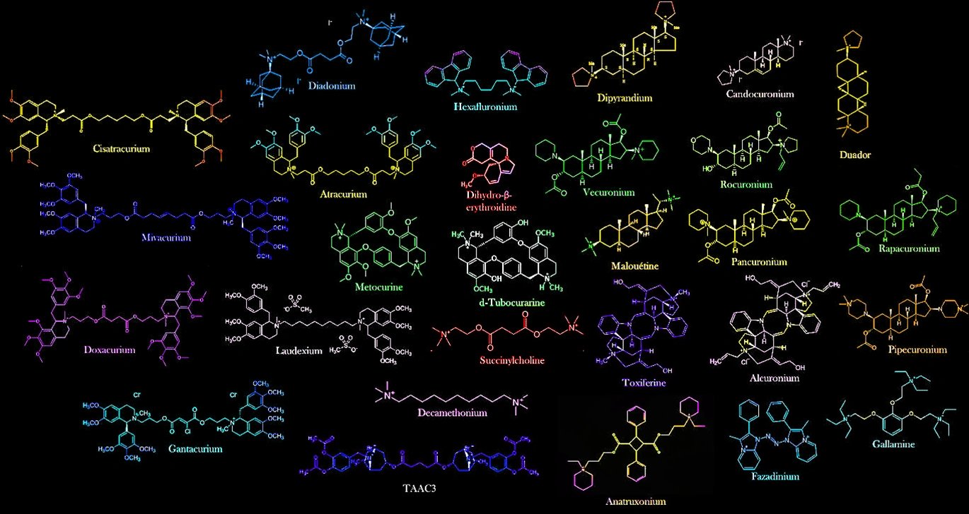 Neuromuscular Blocking Agents | Paralysis Wiki | Fandom
