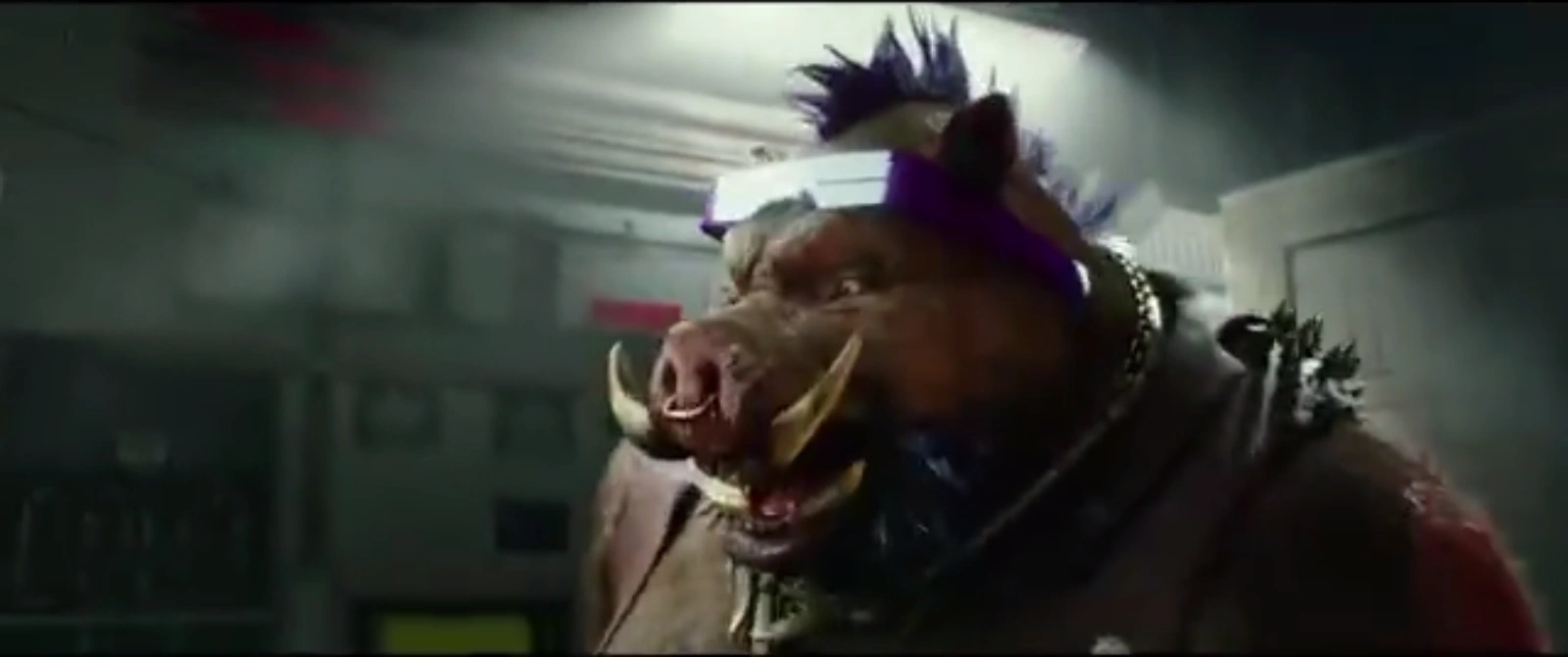 Bebop | Paramount Teenage Mutant Ninja Turtles Wikia | Fandom