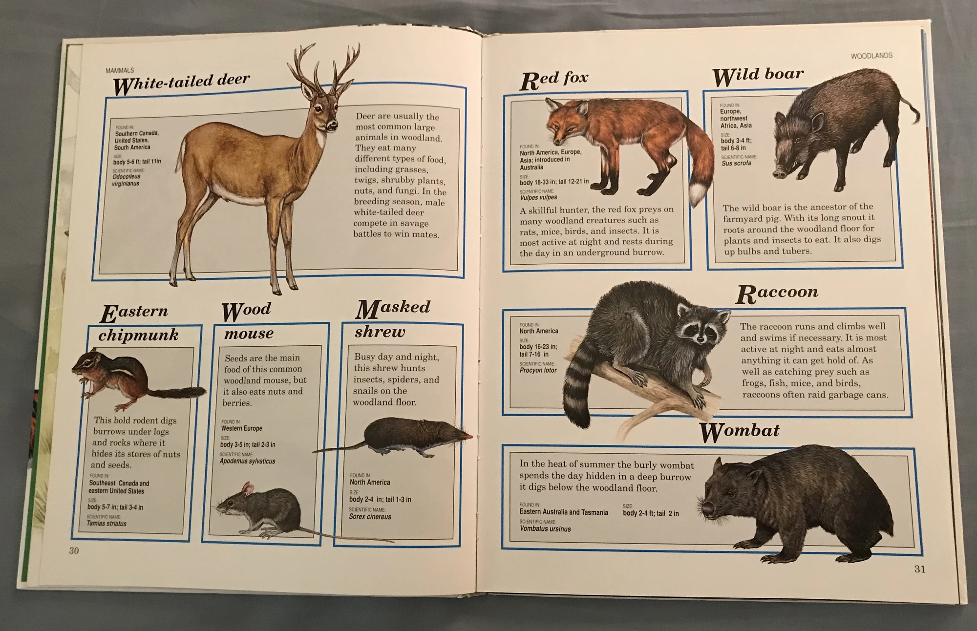 List of Species in Macmillan Animal Encyclopedia for Children | The ...