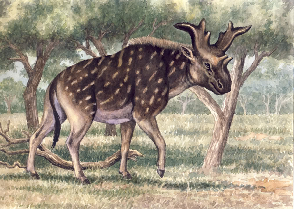 Sivatherium | The Parody Wiki | FANDOM powered by Wikia Sivatherium | The Parody Wiki | FANDOM powered by Wikia