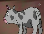 List of Species in Zoboomafoo | The Parody Wiki | Fandom