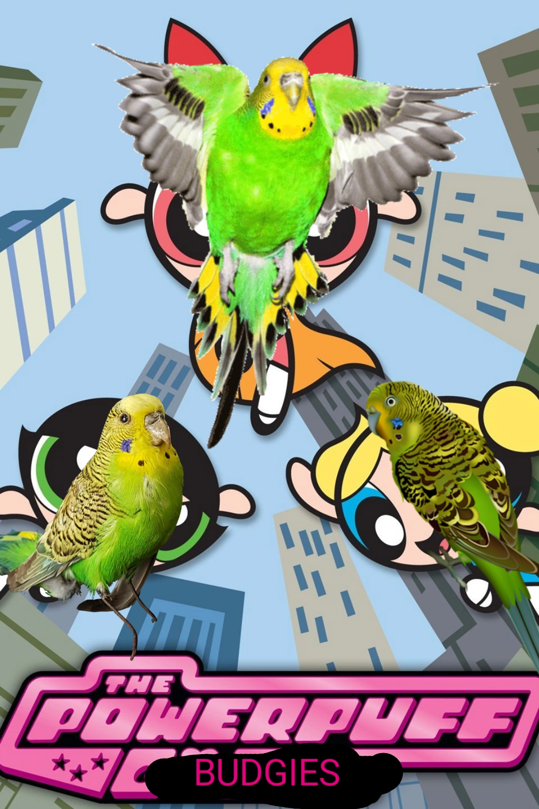 The Powerpuff Budgies | The Parody Wiki | Fandom