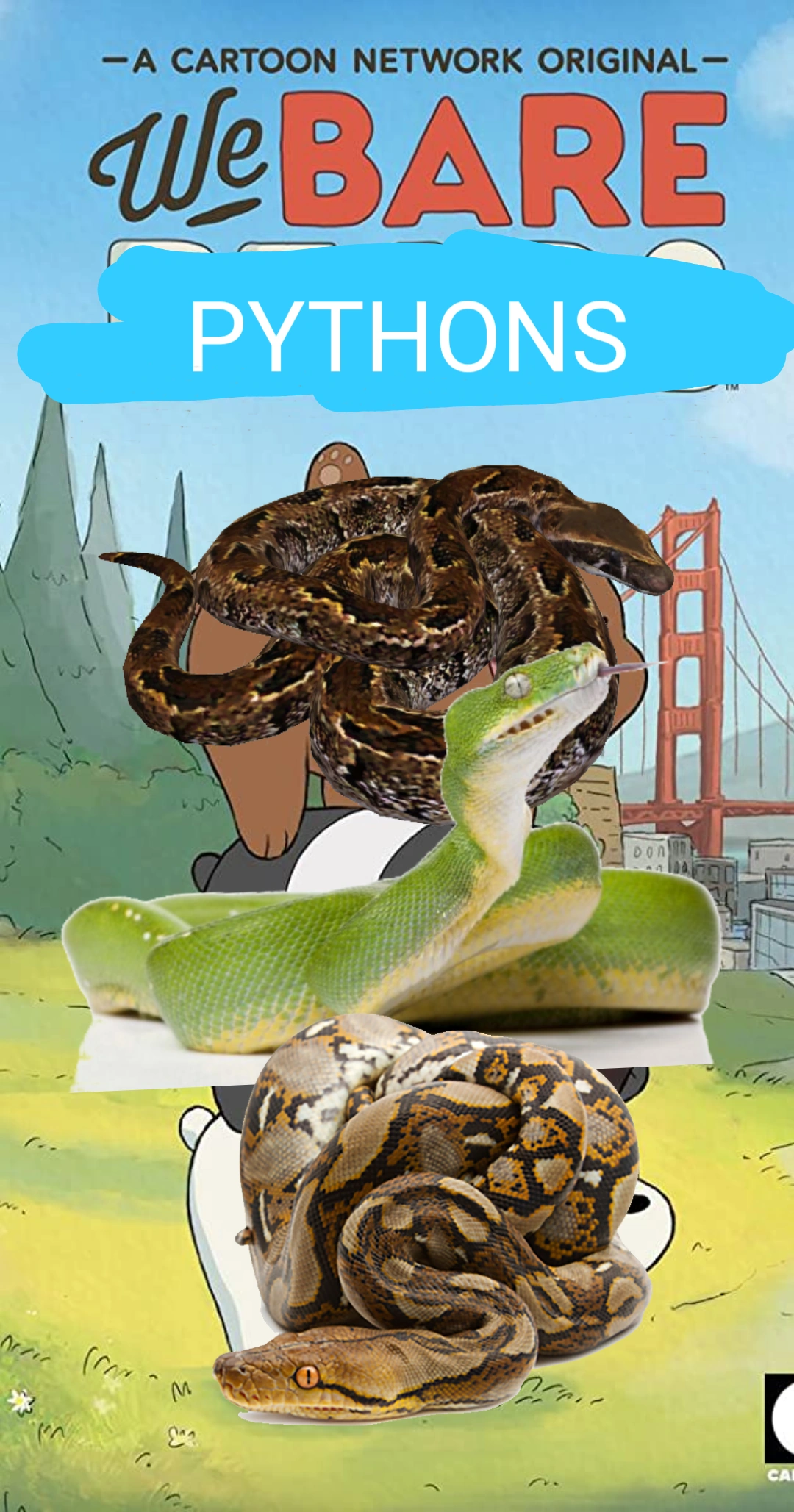 We Bare Pythons | The Parody Wiki | Fandom
