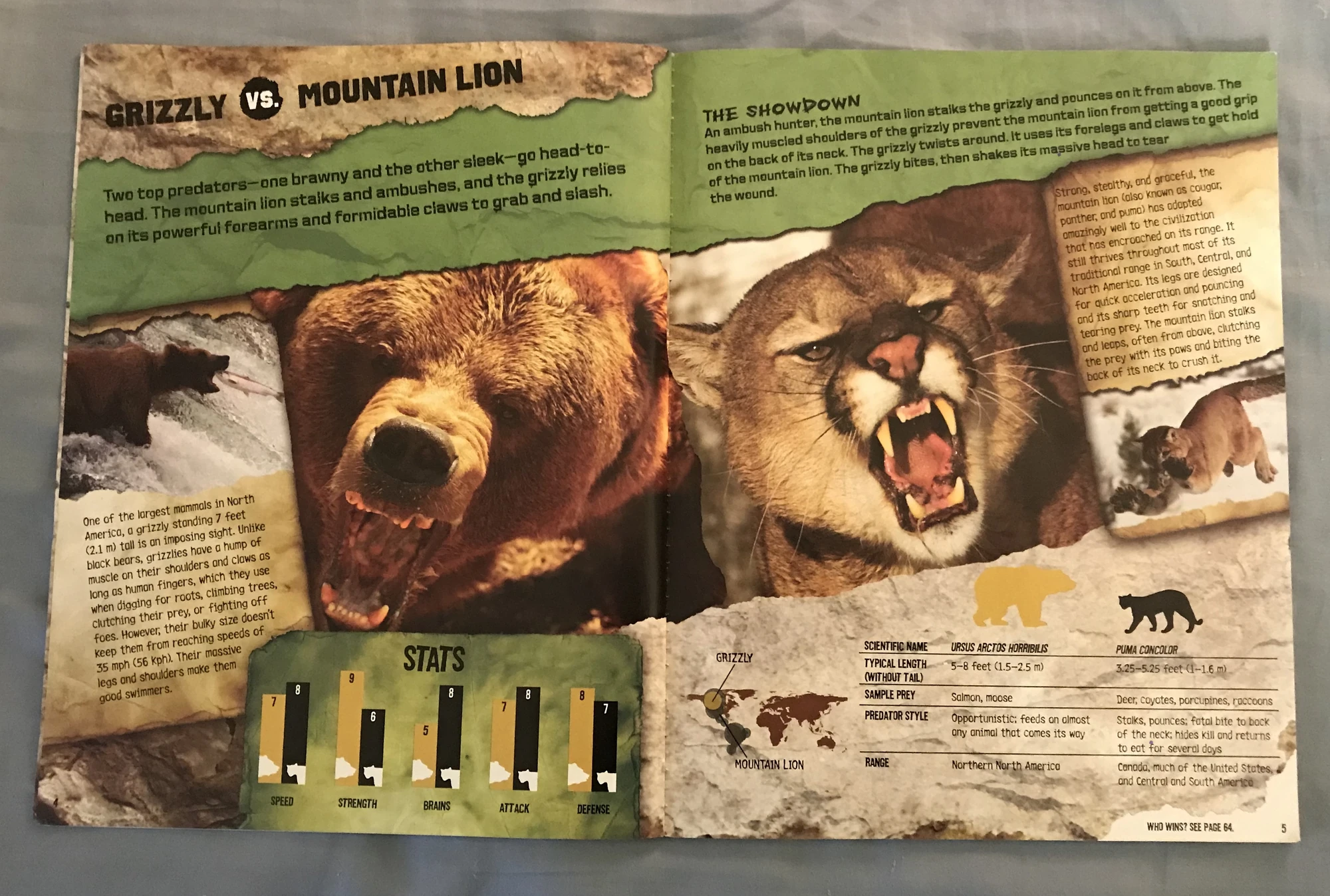 List of Species in Predator Showdown | The Parody Wiki | Fandom