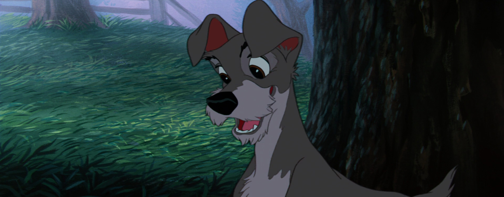 Image Lady Tramp 5788 The Parody Wiki