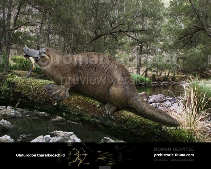 Obdurodon | The Parody Wiki | FANDOM powered by Wikia