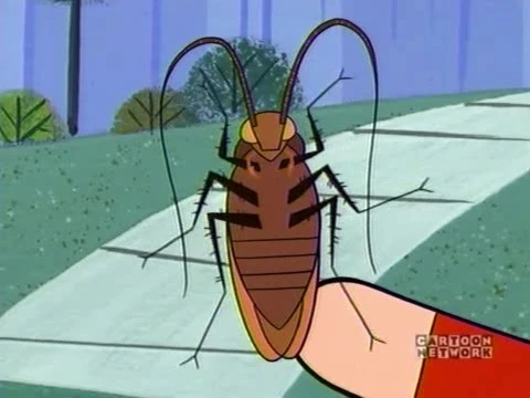 Image - Cockroach, American (The Powerpuff Girls).jpg | The Parody Wiki ...