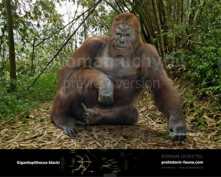 Image - Gigantopithecus by rom u-db14aba.jpg | The Parody Wiki | FANDOM ...