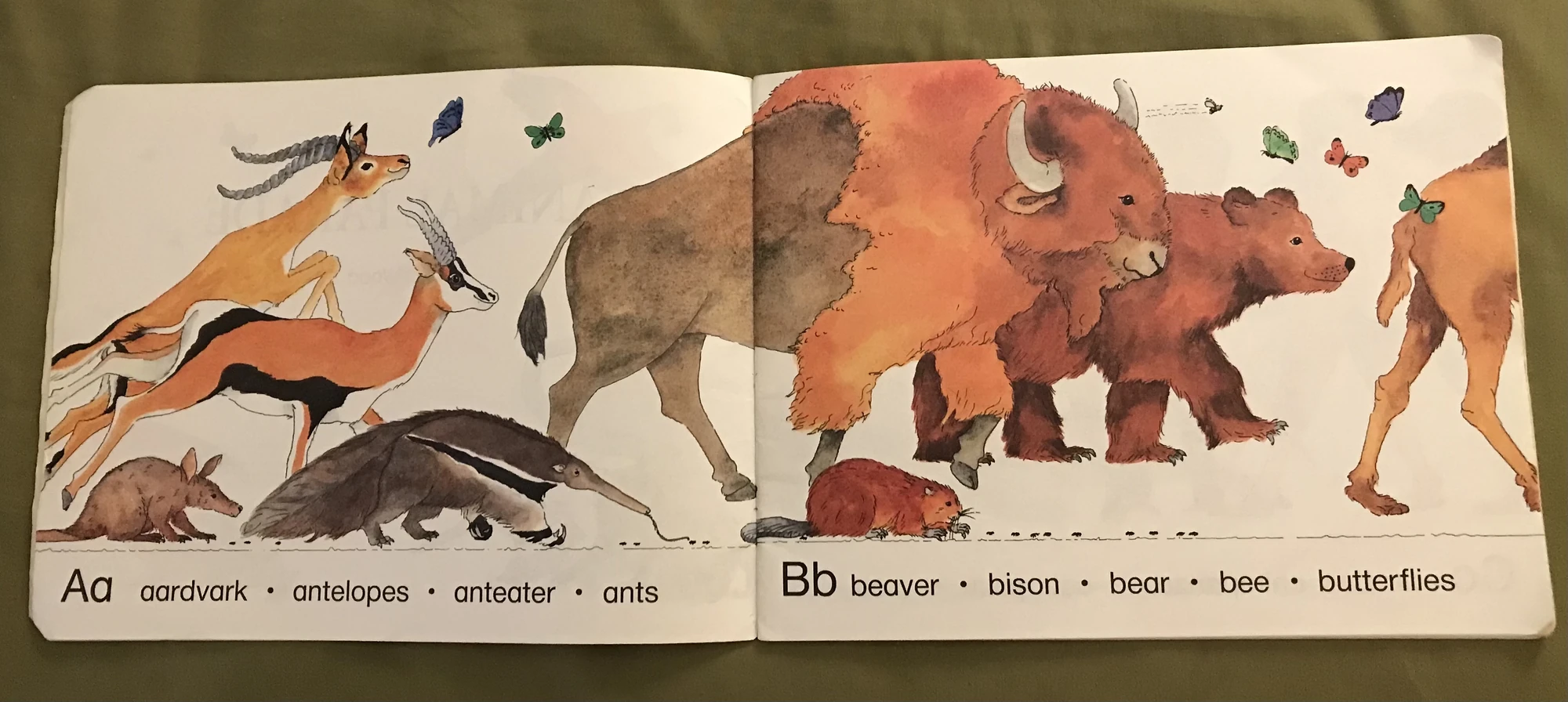List of Species in Animal Parade | The Parody Wiki | Fandom